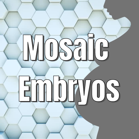 What are Mosaic Embryos? - Genesis Fertility New York