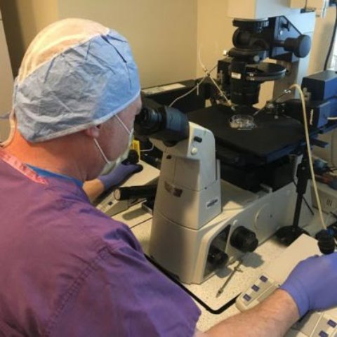 About Us - Genesis Fertility & Reproductive Medicine