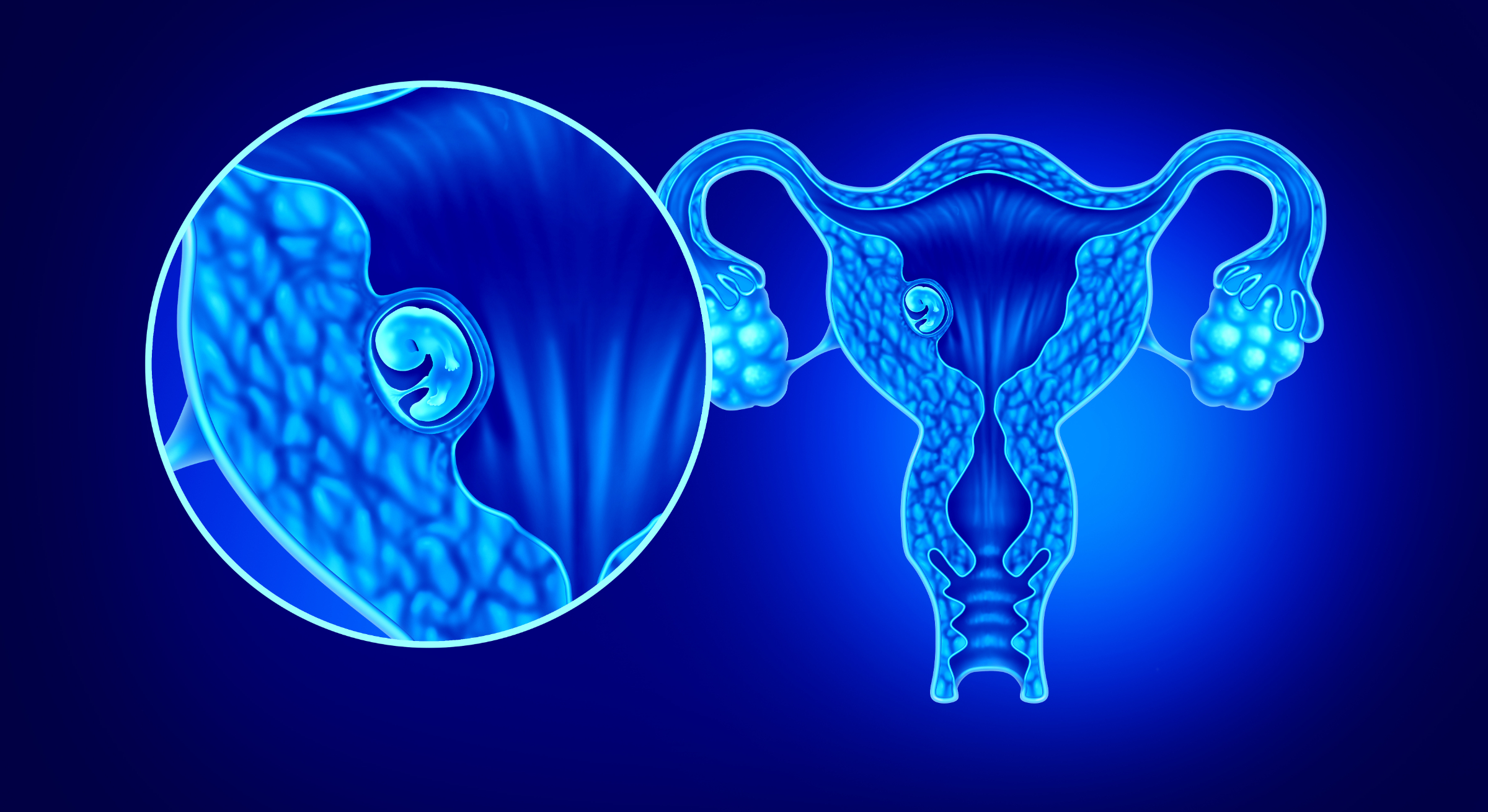 What Is Implantation GENESIS Fertility Reproductive Medicine